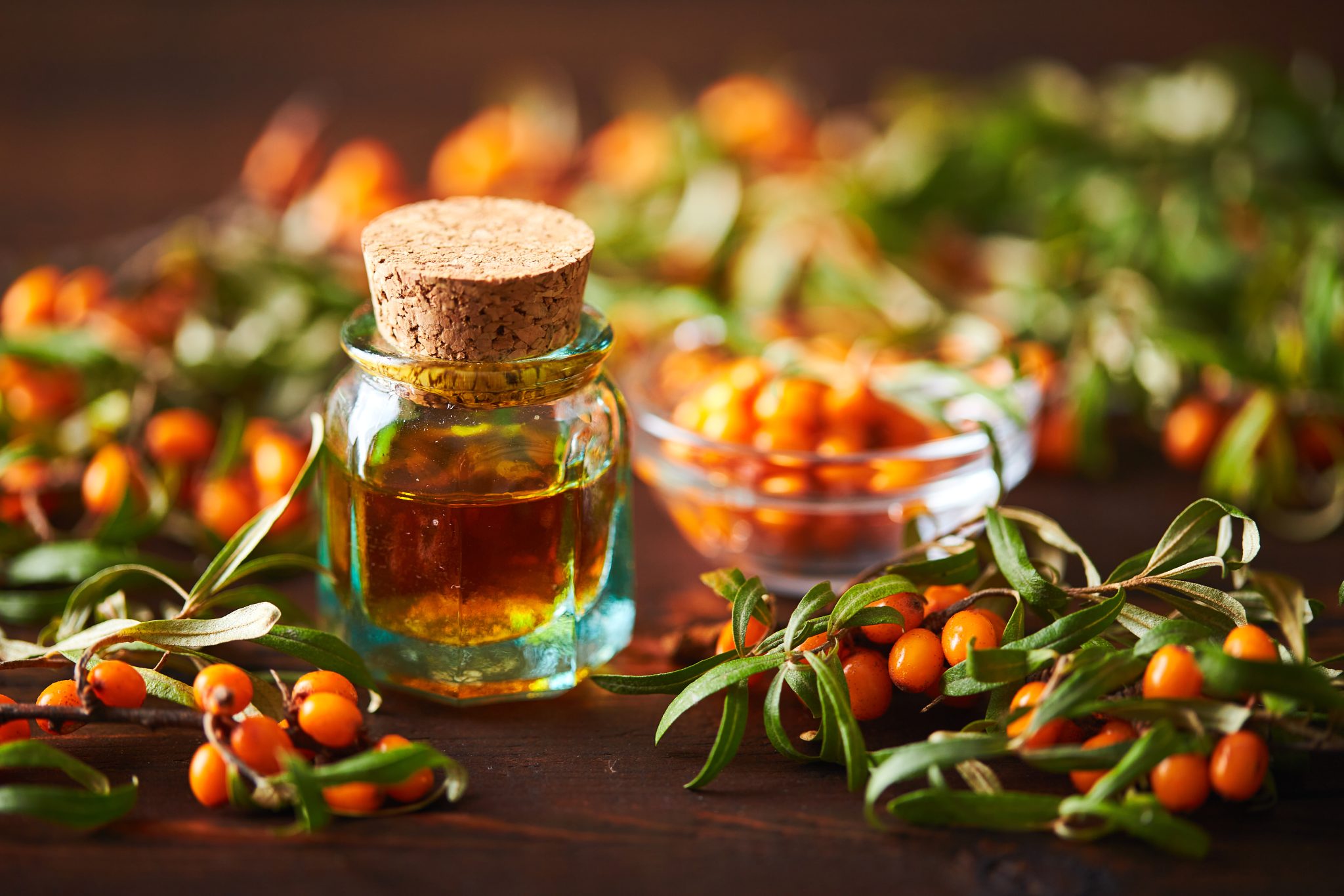 The Wonders of Sea Buckthorn in Skincare: A Natural Powerhouse for ...